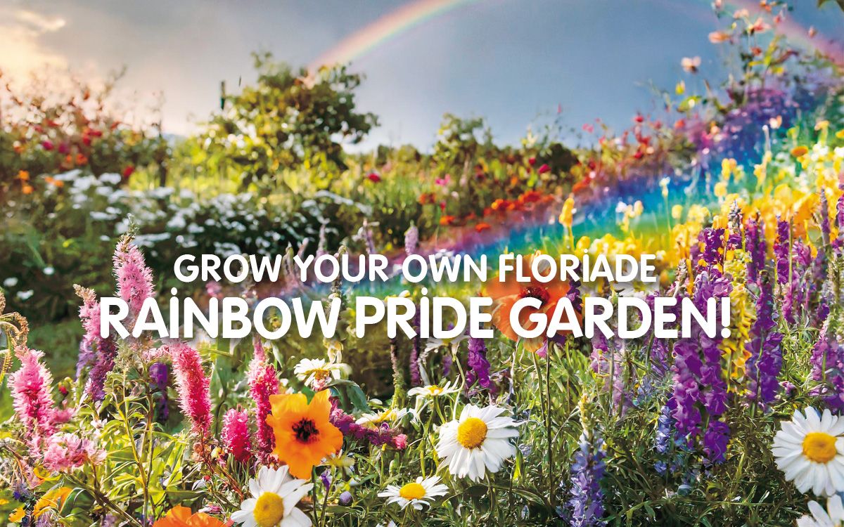 Grow your own Floriade rainbow pride garden!